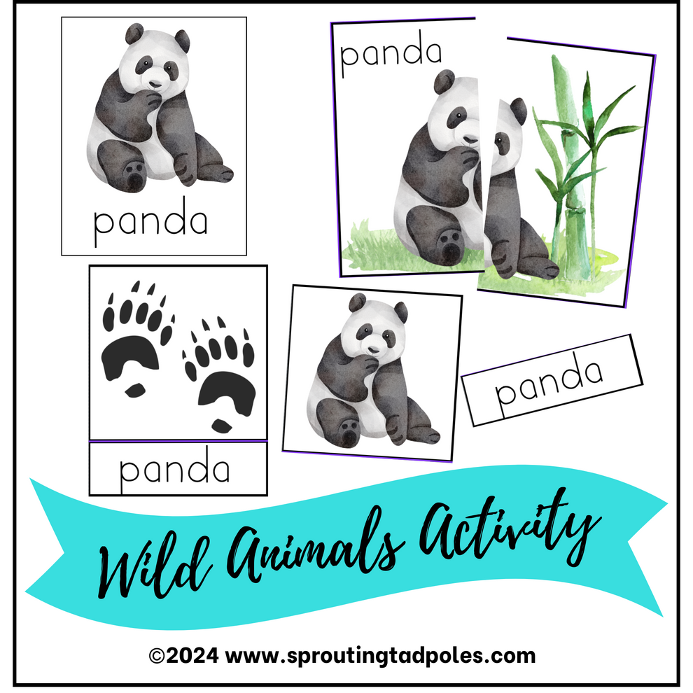 Animal Exploration Activity Packs - Farm, Wild, or Aquatic - PHYSICAL ...